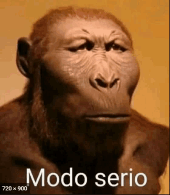 Eu finjo que n percebo